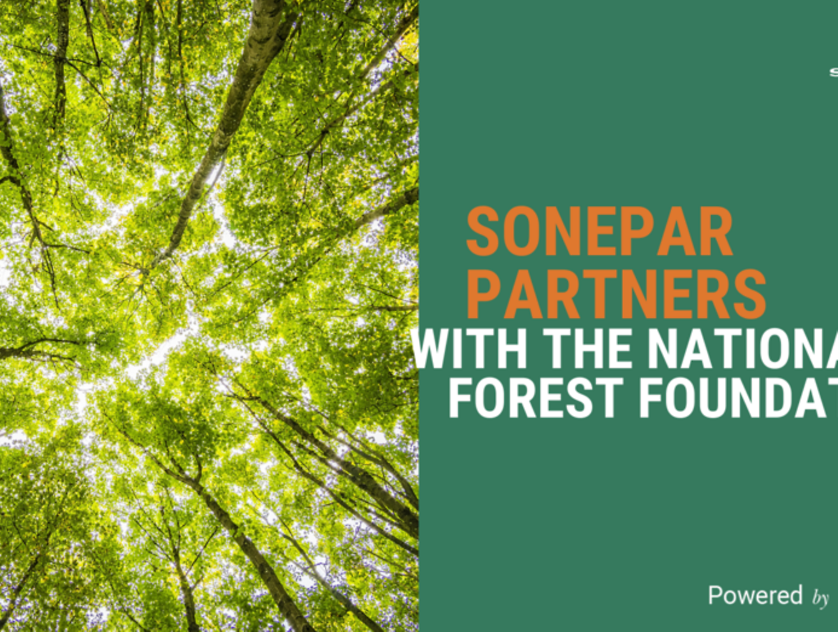Sonepar Partners with the National Forest Foundation to Plant Up to 10,000 Trees in the USA