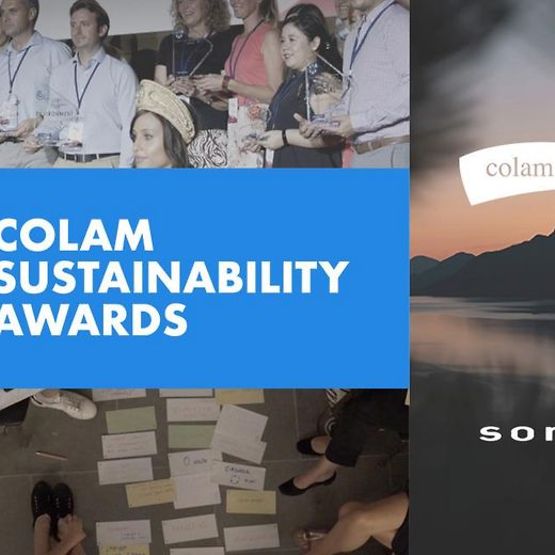 Colam Sustainability Awards 2021 - Meet the Winners!