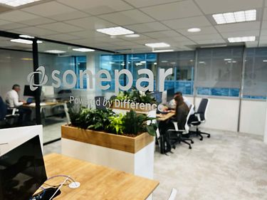 The Sonepar Brand